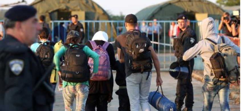 In 2024, Asylum Applications Increased in Italy but Recognitions ...