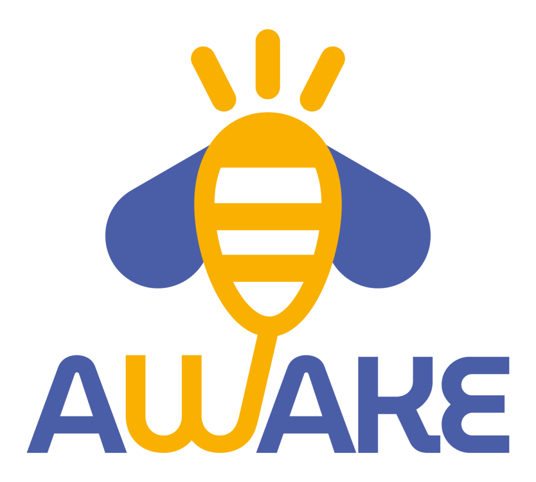 Preventing and combating disinformation on migration: the project AWAKE ...