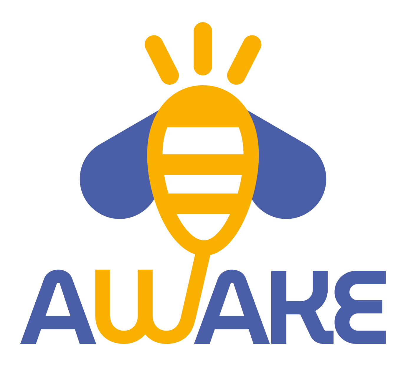 Project "AWAKE: Awareness raising campaign providing KEy Elements to ...